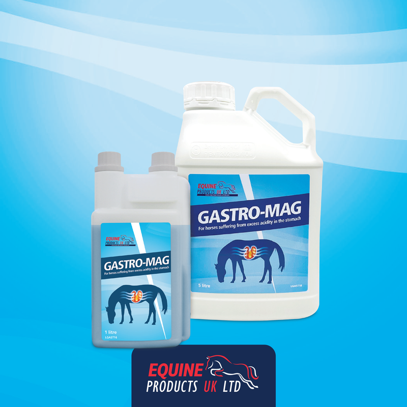 Digestion & Gut Nutrition - equineproducts-ukltd