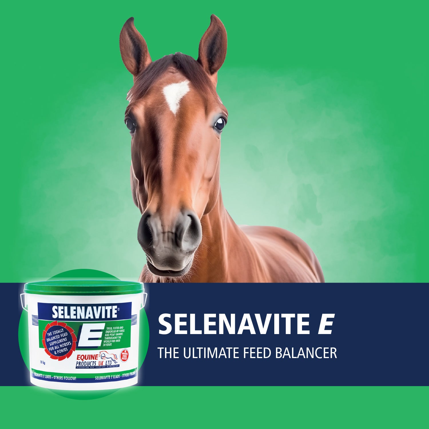 Equine Products UK Selenavite E Powder - The Ultimate Feed Balancer ...