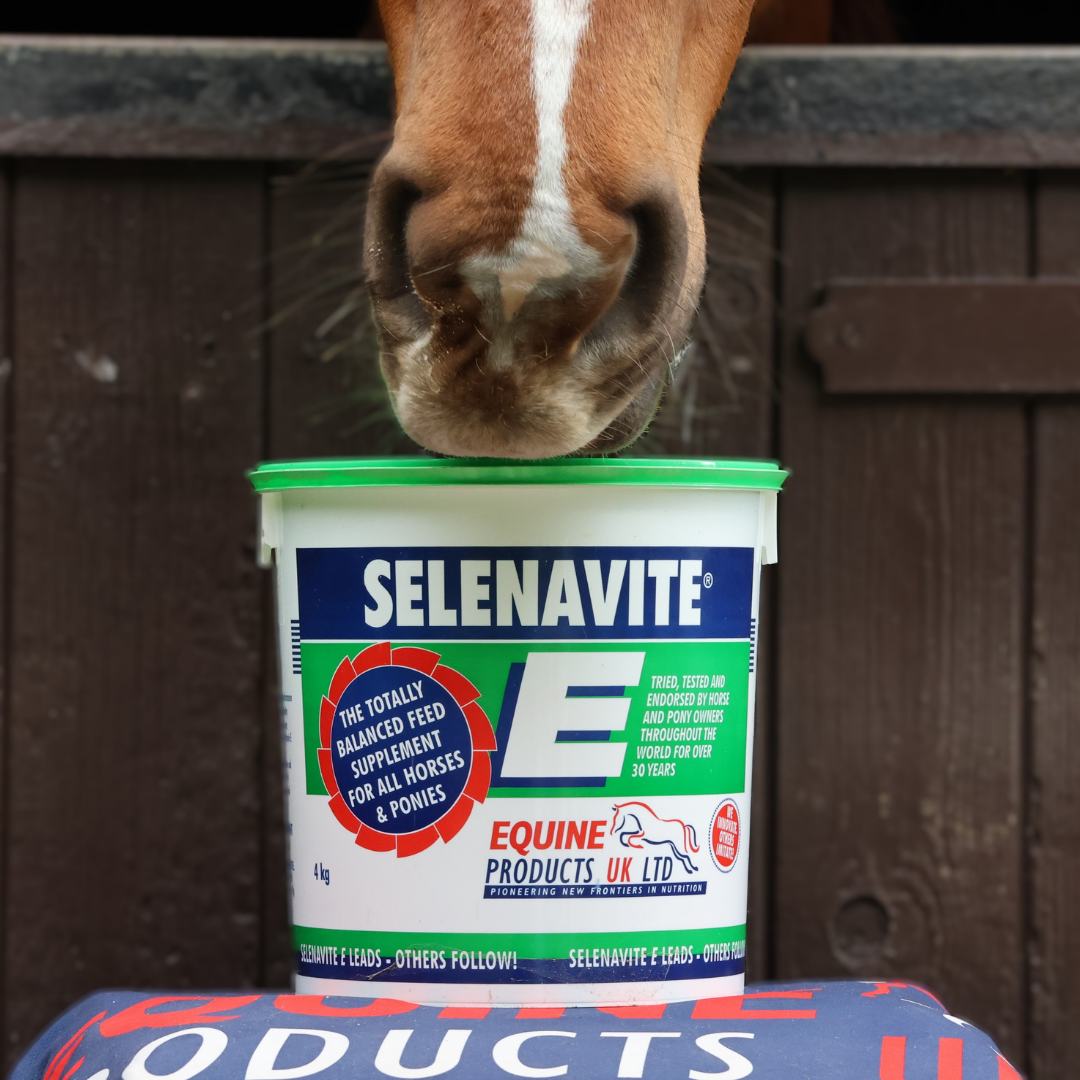 Equine Products UK Selenavite E Powder - The Ultimate Feed Balancer – equineproducts-ukltd