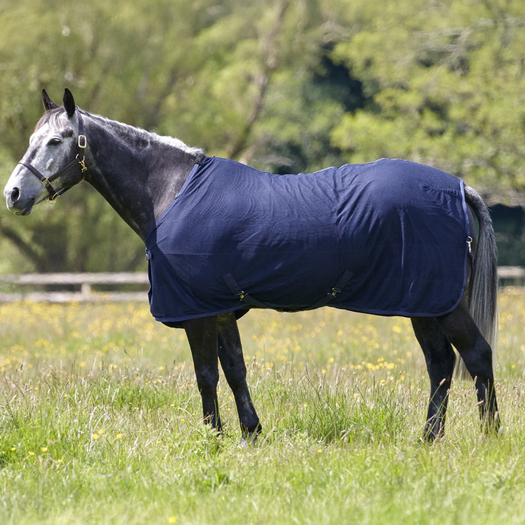 Equine Products UK Ltd
