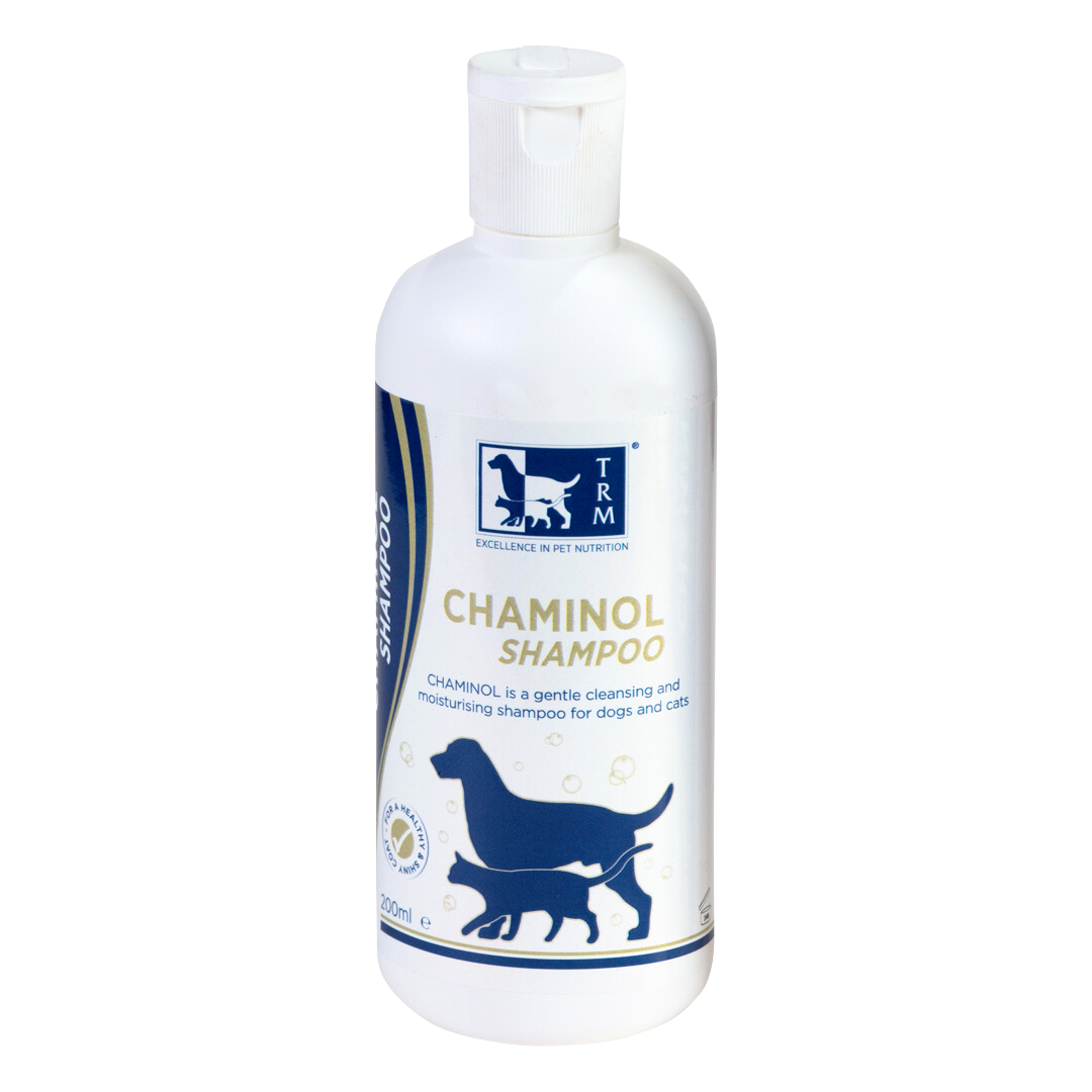 Dog shampoo price store