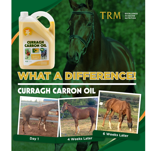 TRM Curragh Carron Oil - equineproducts-ukltd