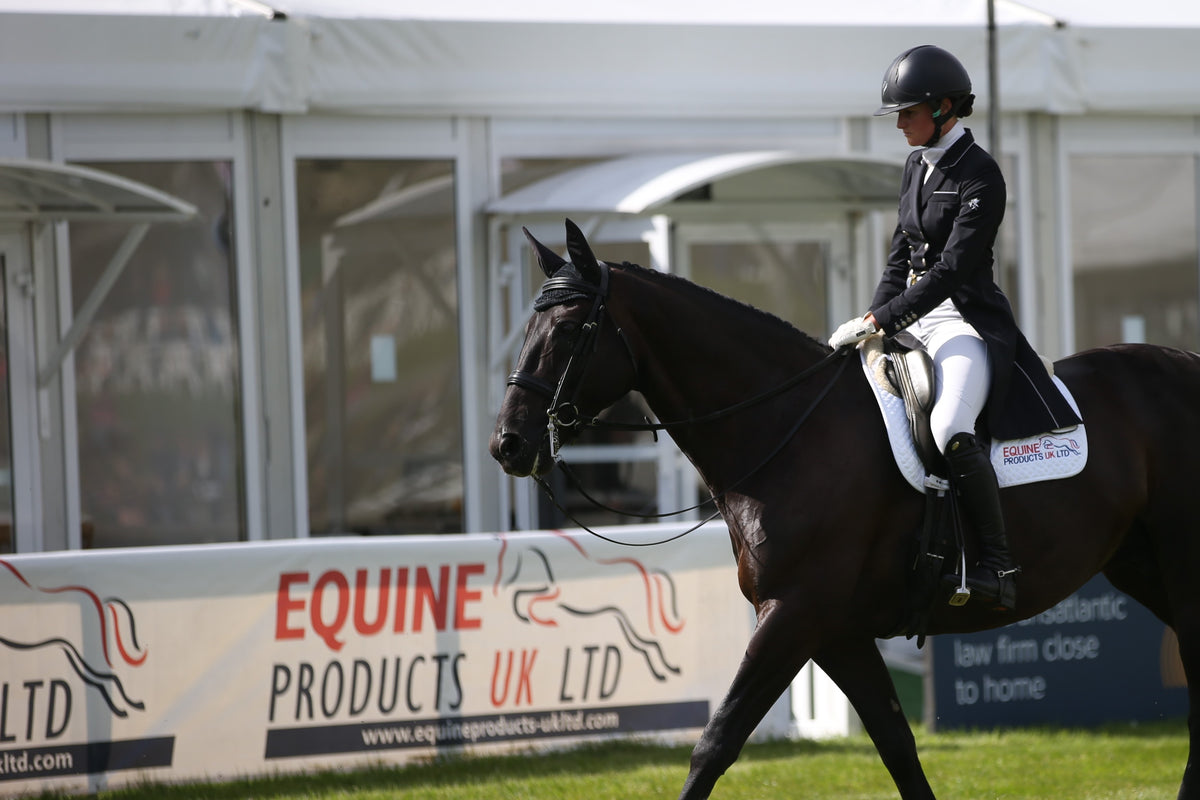 Zarasyl Equine Cream 200ML - equineproducts-ukltd