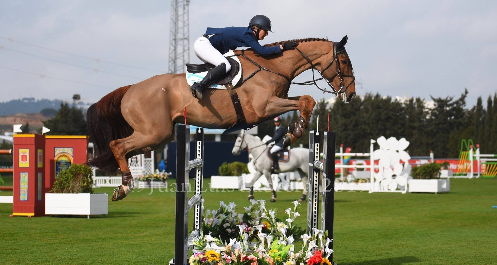 Zarasyl Equine Cream 200ML - equineproducts-ukltd