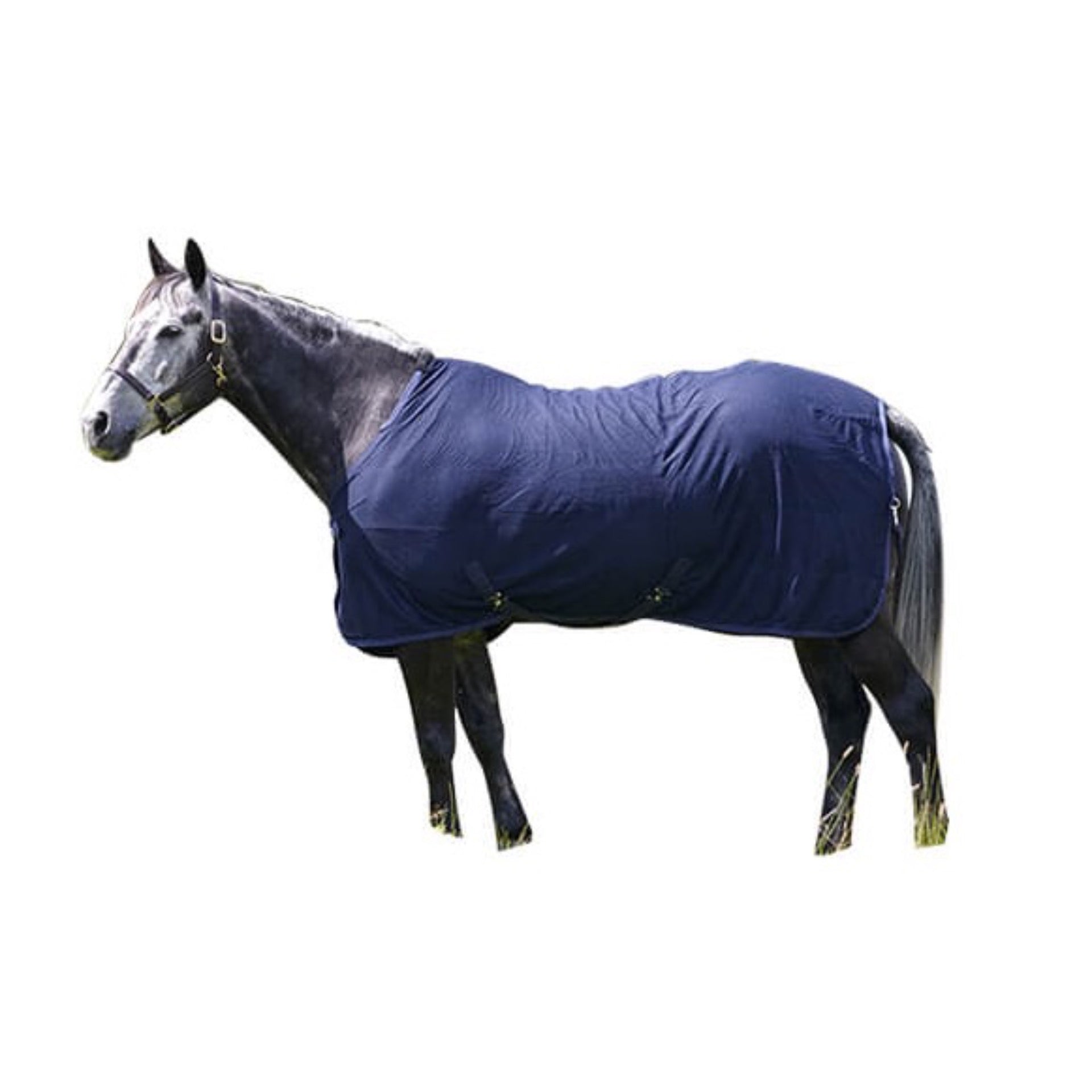 Horse Rugs - equineproducts-ukltd